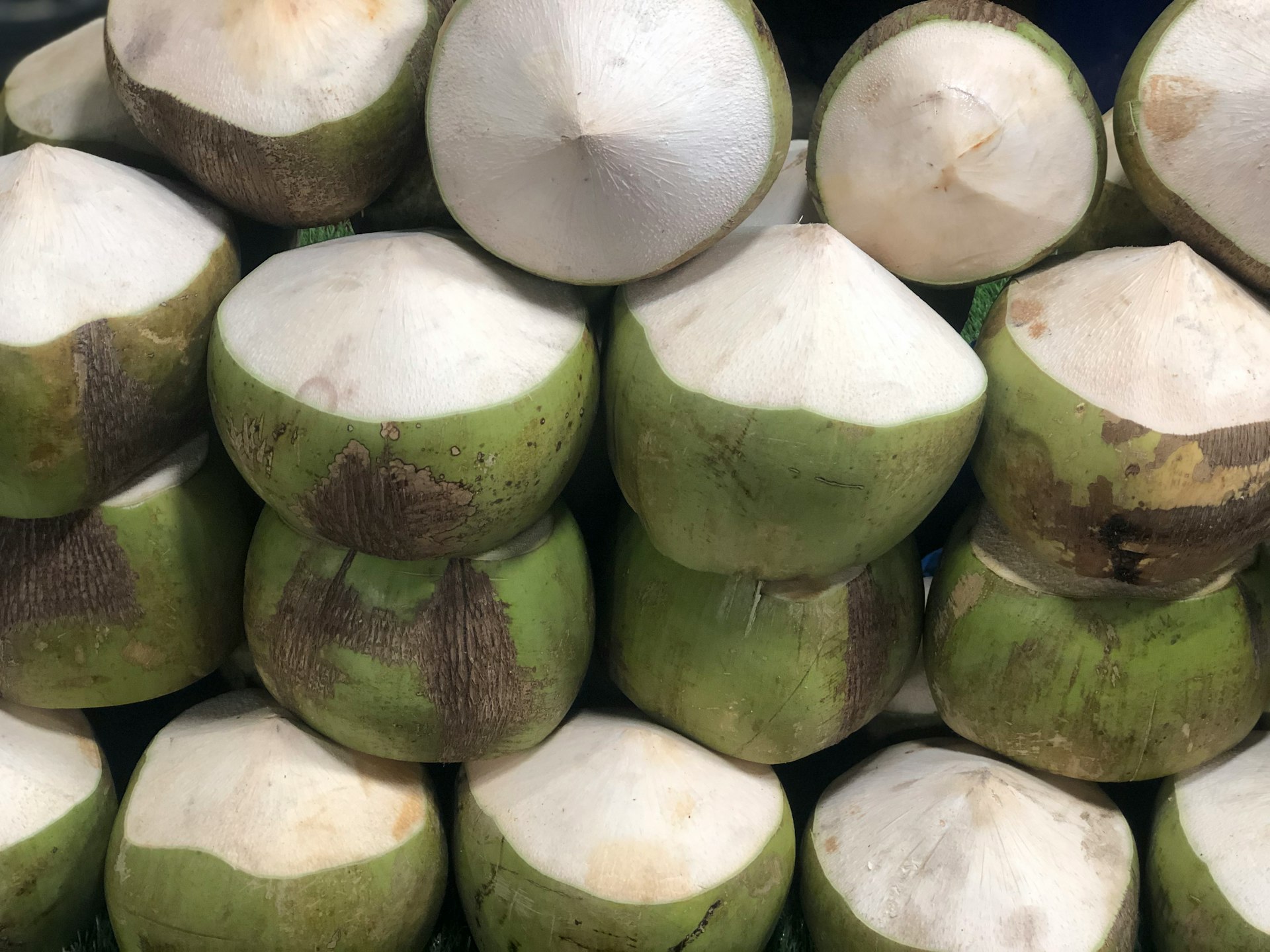 Malayan Green Coconut